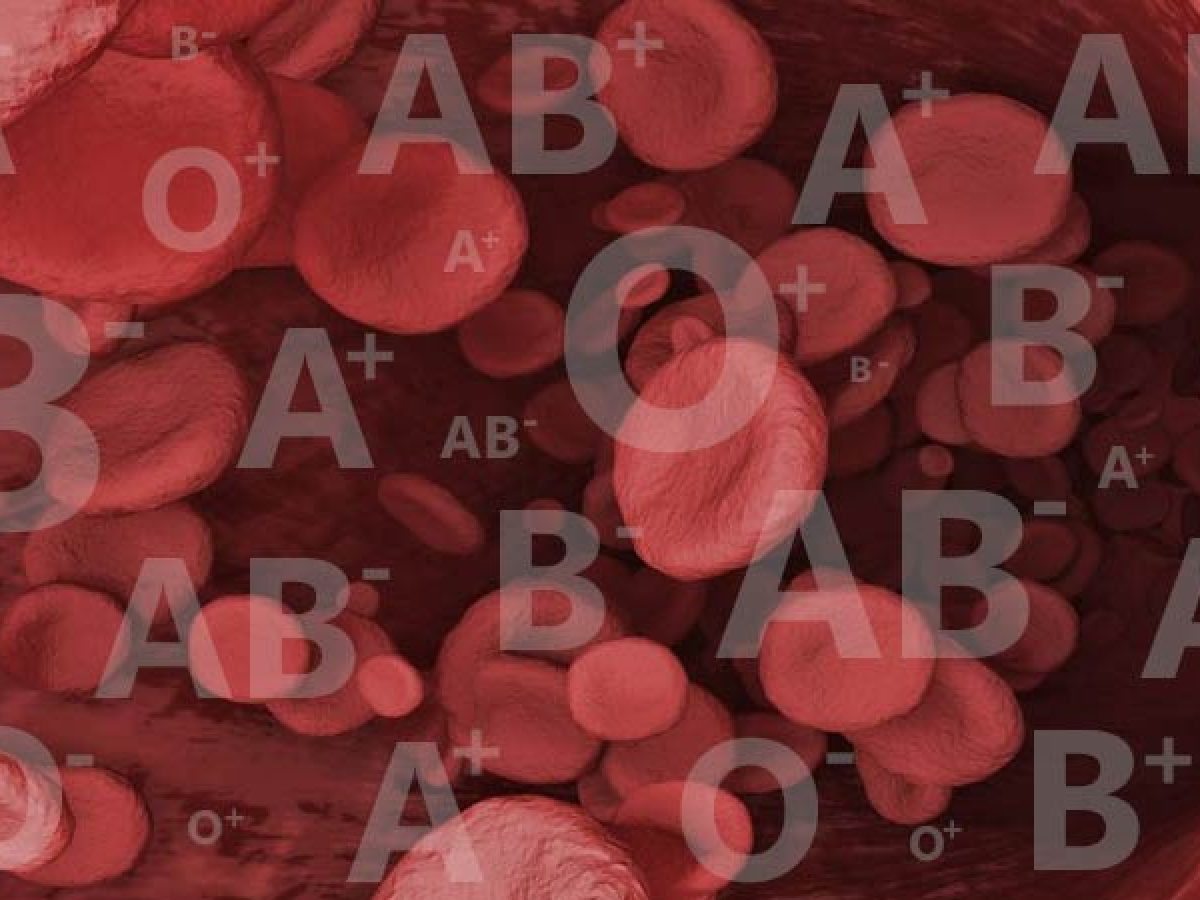 Quais Tipos Sanguineos Existem