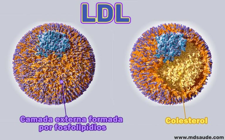 Colesterol alto | O que são HDL, LDL, VLDL, ApoB e Lp(a)?