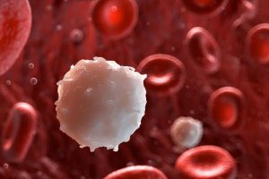 Leucocitose e Neutrofilia - Principais causas - MD.Saúde