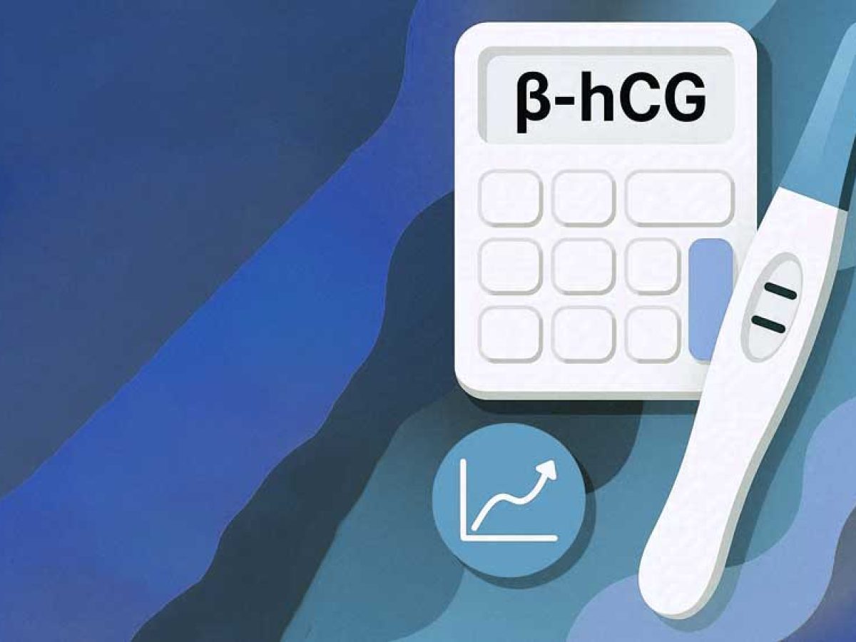 Calculadora De Beta Hcg Como Usar E Interpretar Resultados Descubra