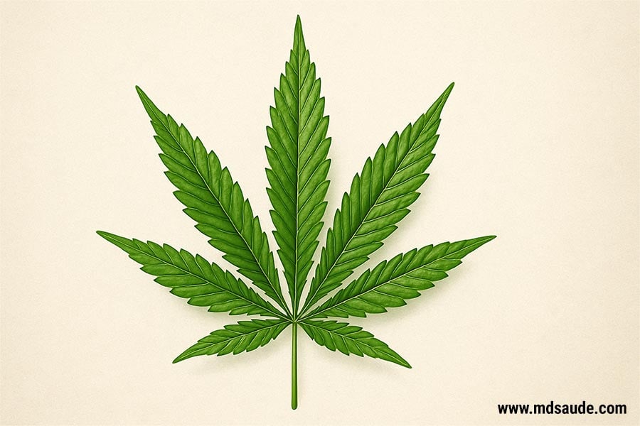Cannabis (marihuana): efectos, riesgos y dependencia