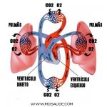 Insuficiência cardíaca: o que é, sintomas e tratamento
