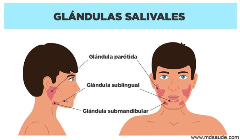 Paperas: síntomas, transmisión y tratamiento