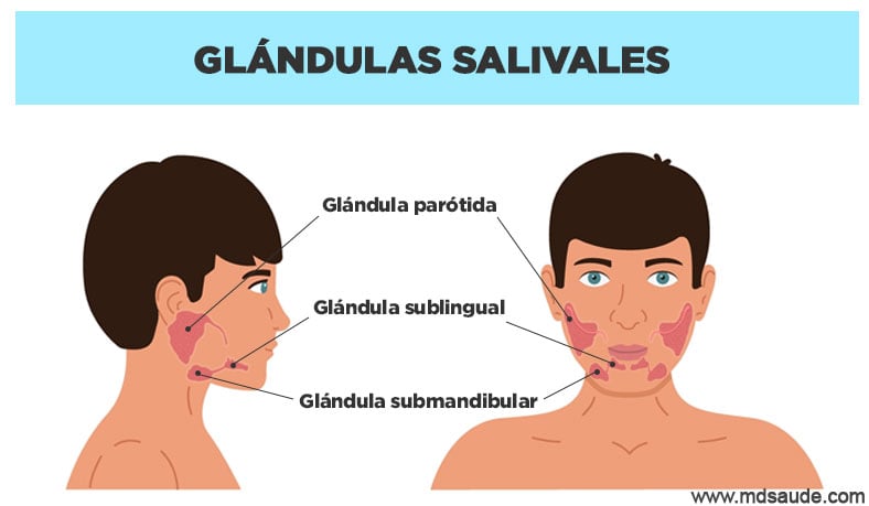 Paperas: síntomas, transmisión y tratamiento