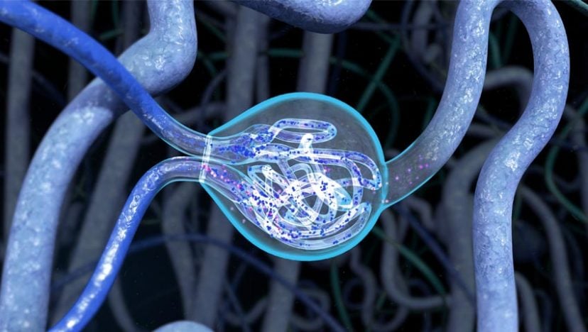 Nefrite Intersticial: o que é, causas e tratamento