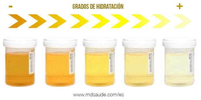 Principales Causas de Orina con Olor Fuerte » MD.Saúde