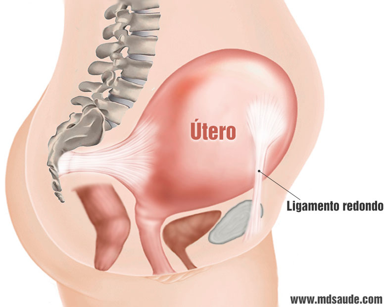 Ultrassom Do Ligamento Redondo