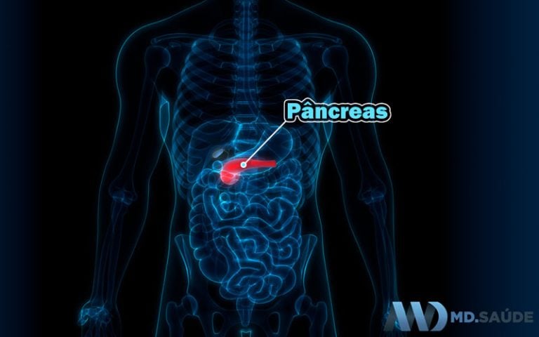 Onde fica cada órgão do corpo humano? | MD.Saúde