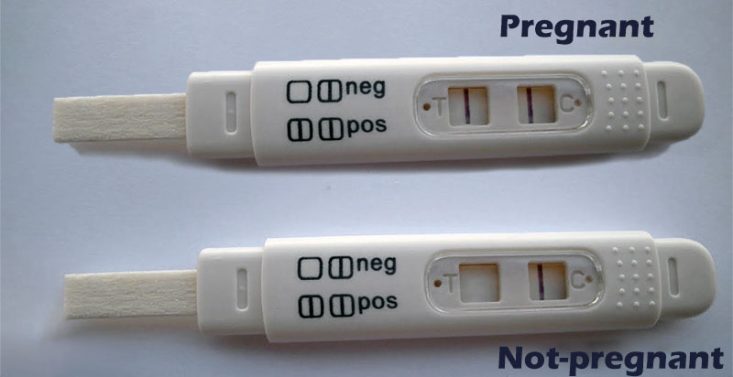 hCG Levels: How to Interpret Pregnancy Blood Test Results