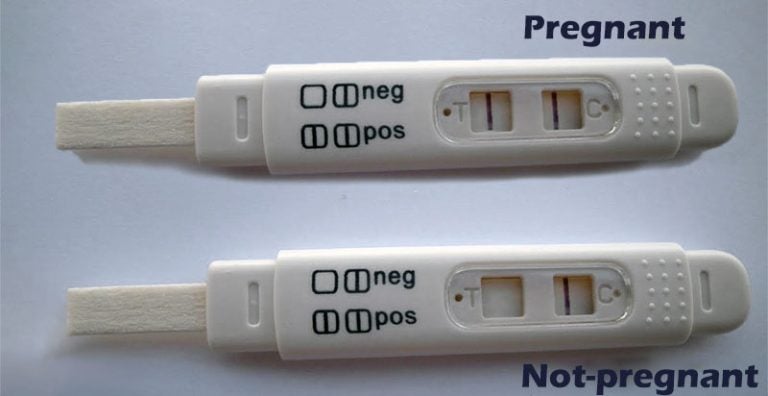 hCG Levels: How to Interpret Pregnancy Blood Test Results