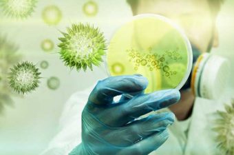 RAIVA HUMANA - Transmissão, sintomas e vacina » MD.Saúde